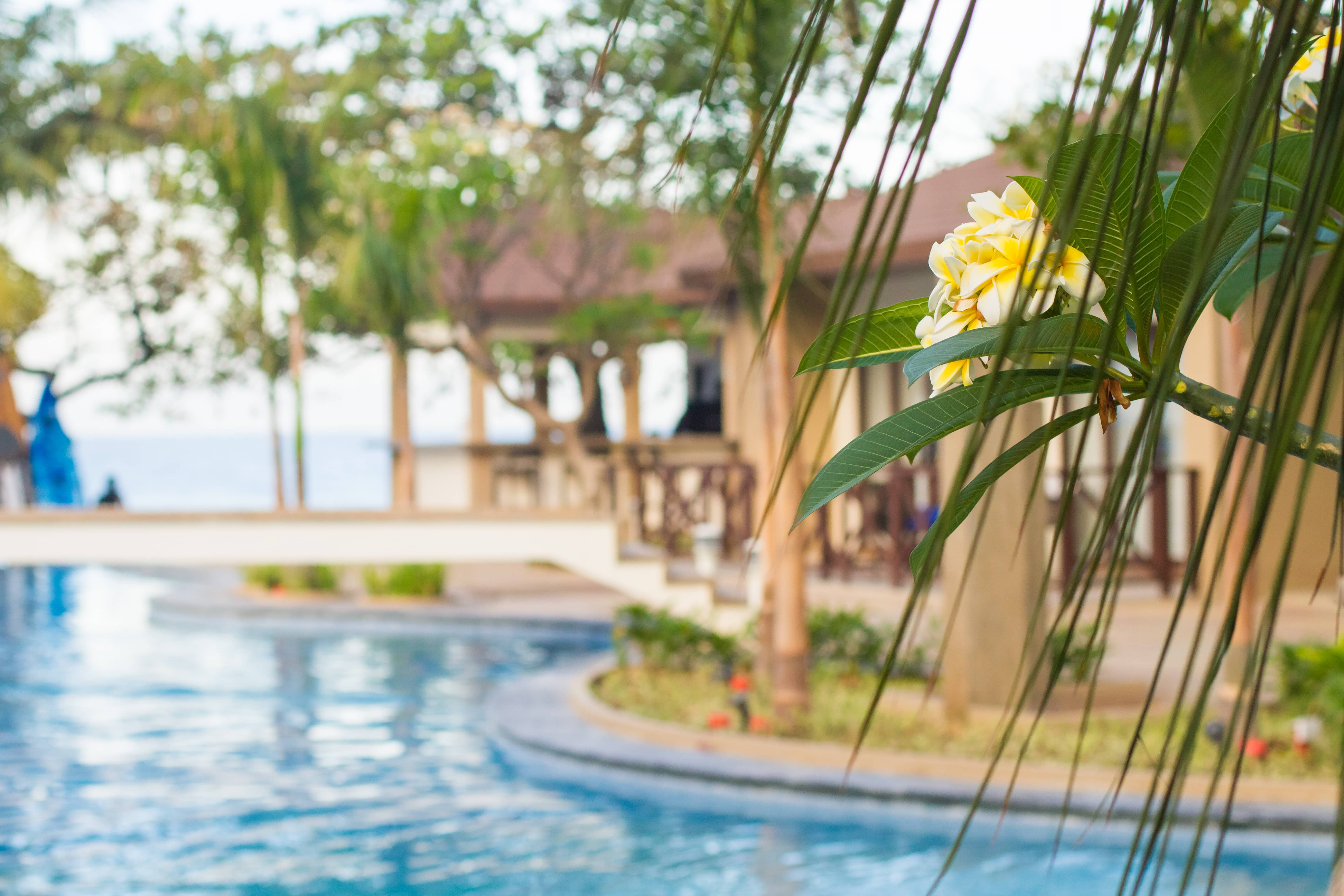 Aureo Hotels and Resorts | La Union Beach Resort | La Union Hotels